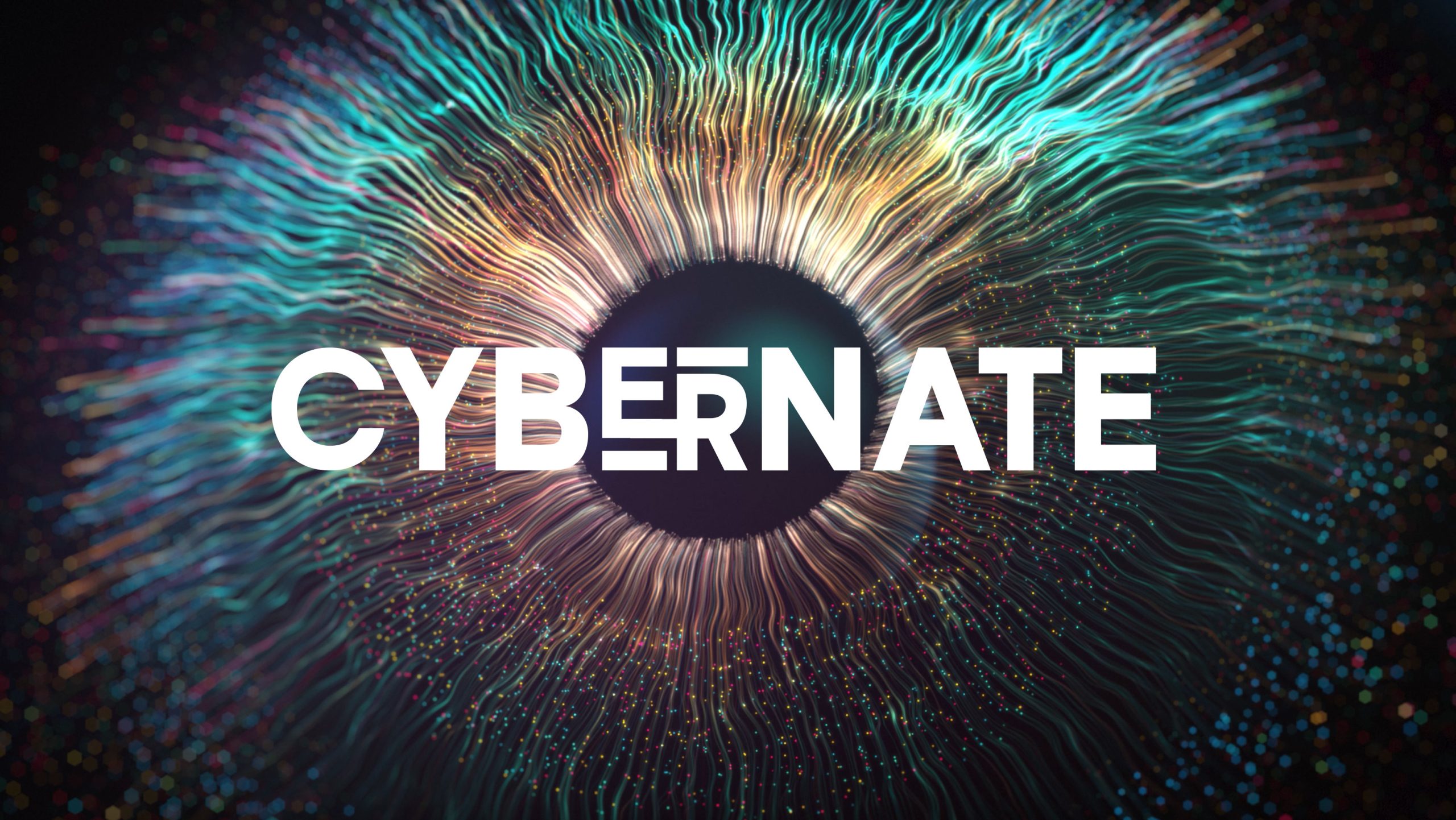 Cybernate - Meet the Artists - Galway Culture Company