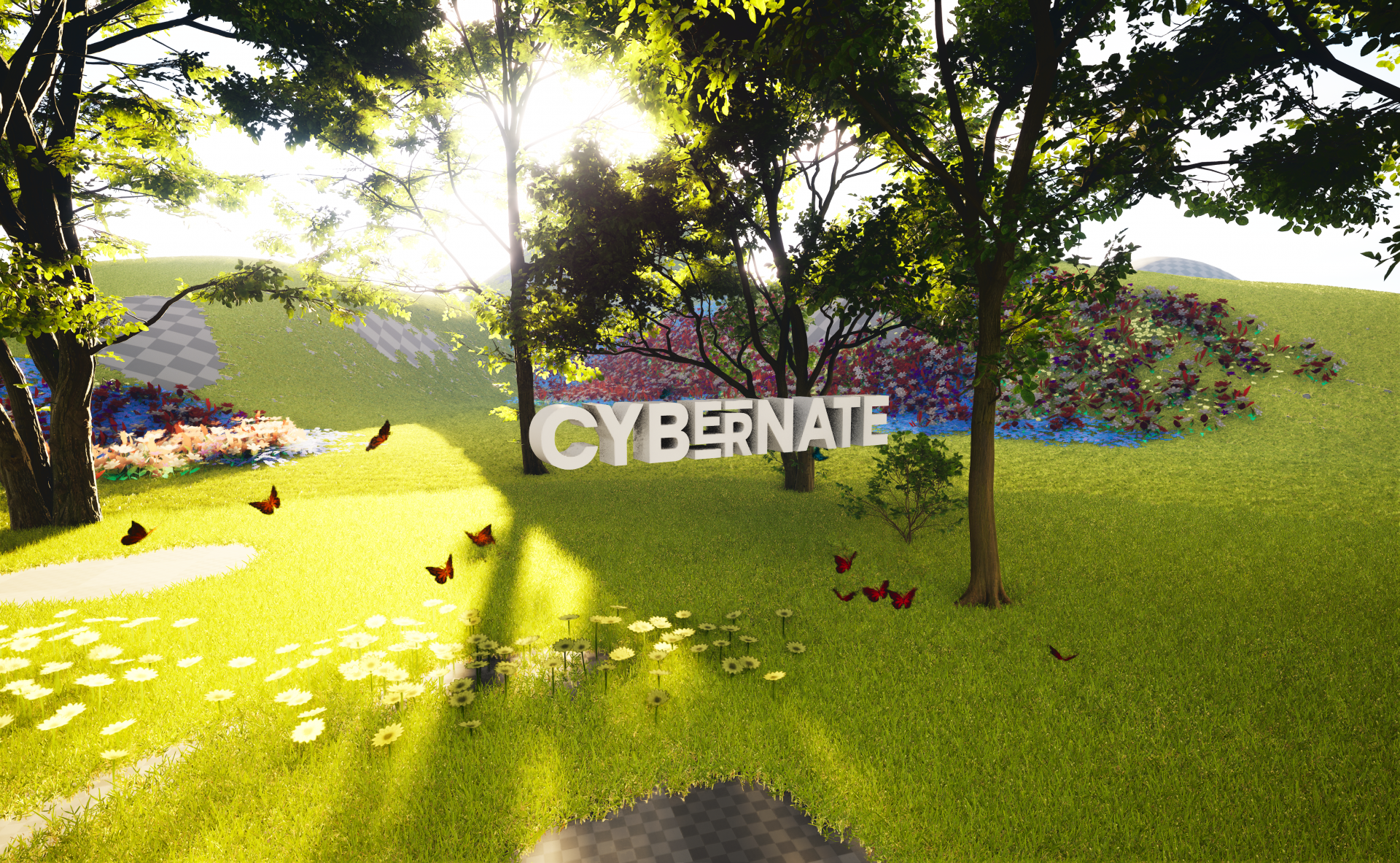 Cybernate - Galway Culture Company