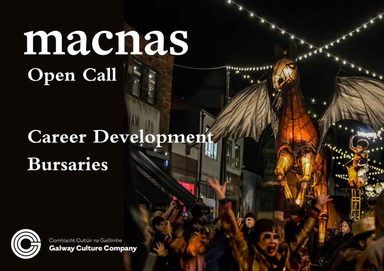 Macnas Career Development Bursaries - Galway Culture Company