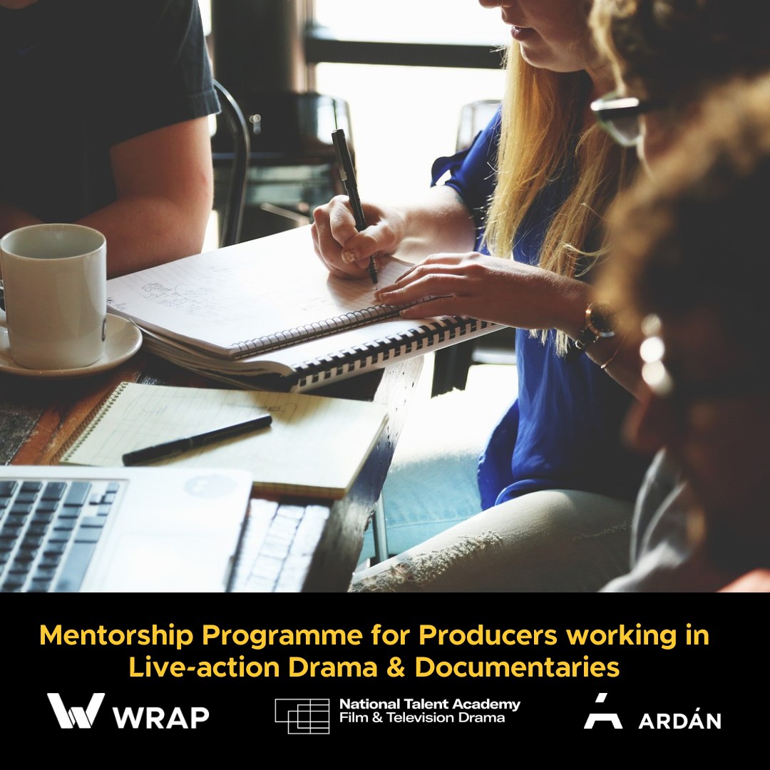 Mentorship Programme for Producers - Galway Culture Company